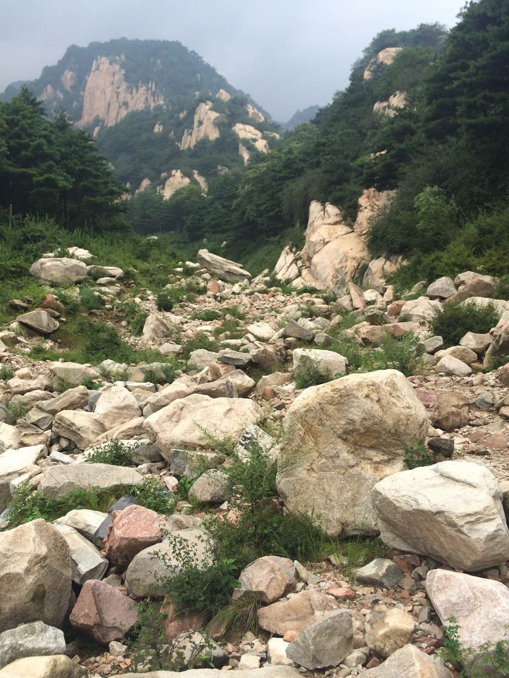 泰安小泰山泰山小泰山泰安泰安岱大山谷图库 
