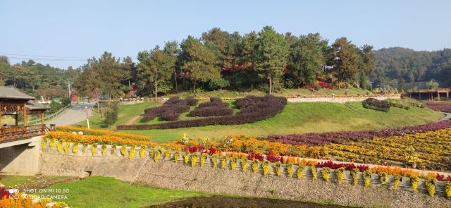 麻城五脑山森林公园游玩攻略简介,麻城五脑山森林公园门票/地址/图片/开放时间/照片/门票价格【携程攻略】