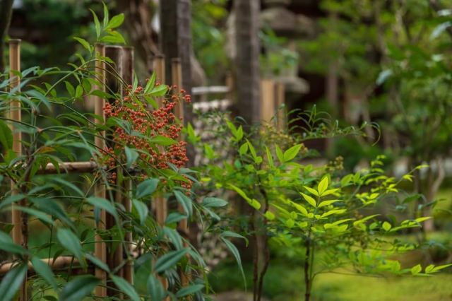 京都大德寺游玩攻略简介,京都大德寺门票/地址/图片/开放时间/照片/门票价格【携程攻略】