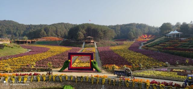 麻城五脑山森林公园游玩攻略简介,麻城五脑山森林公园门票/地址/图片/开放时间/照片/门票价格【携程攻略】