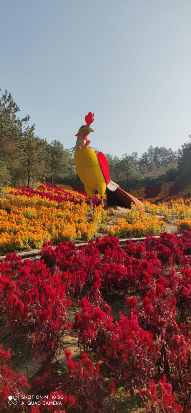 麻城五脑山森林公园游玩攻略简介,麻城五脑山森林公园门票/地址/图片/开放时间/照片/门票价格【携程攻略】