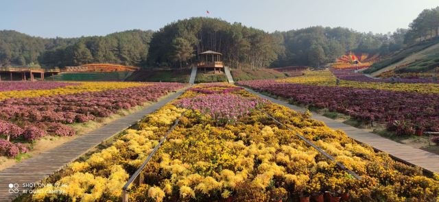 麻城五脑山森林公园游玩攻略简介,麻城五脑山森林公园门票/地址/图片/开放时间/照片/门票价格【携程攻略】