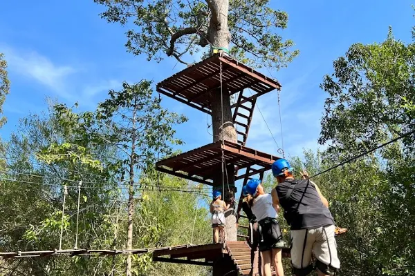 【Tree Top Adventure Park參觀攻略2026】門票優惠、開放時間及交通地址一覽 - 永安旅遊