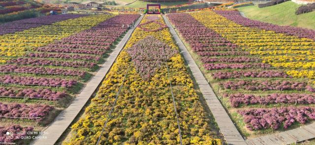 麻城五脑山森林公园游玩攻略简介,麻城五脑山森林公园门票/地址/图片/开放时间/照片/门票价格【携程攻略】
