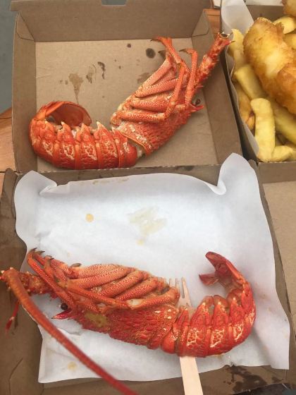 巴彦勒巴Paper Lobster攻略,Paper Lobster特色菜推荐/菜单/人均消费/电话/地址/菜系/点评/营业时间【携程美食】