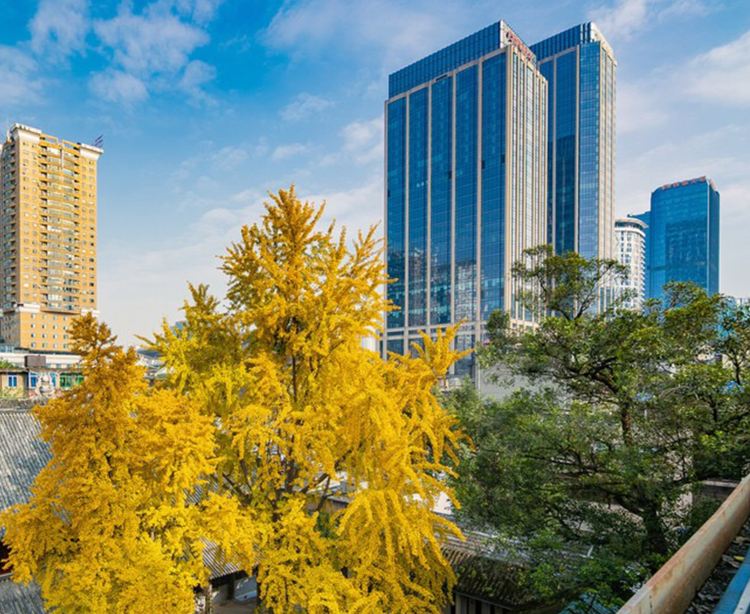 Chengdu Rongcheng Hotel (Tianfu Square Subway Station, Chunxi Road) in ...