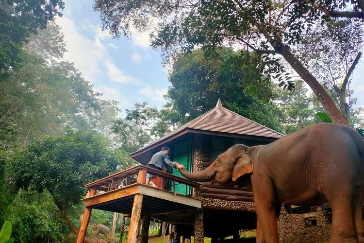 Tawan Riverside - Elephant Resort in Mae Wang | 2023 Updated prices ...