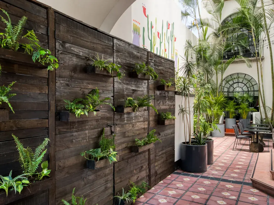 Santa Casa By Tasman - Mexico City