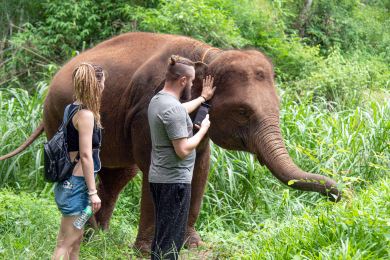 Tawan Riverside - Elephant Resort（Mae Wang）- 2023年最新 料金＆割引情報｜Klook 日本