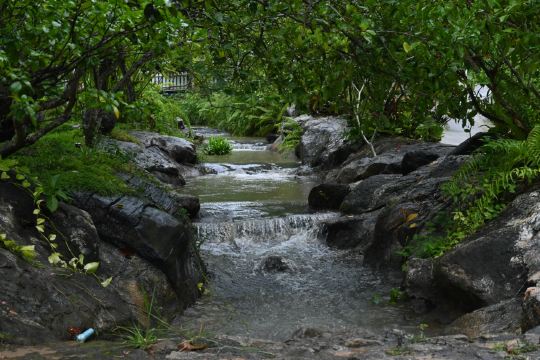 Cascade Tara in Koh Samui | 2023 Updated prices, deals - Klook ...