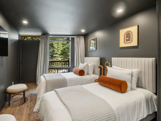 Breathtaking Mountain Views And Cozy Fireplace - Exquisite Modern Retreat - Aspen