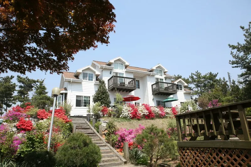 Taean Blueberry Pension - 仁川