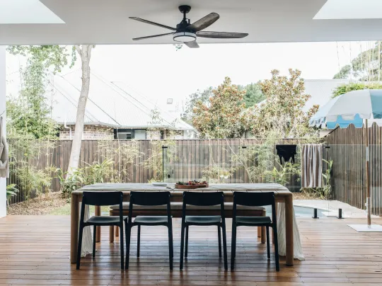 Rubus Pink, Berry - By Linnaeus Collection - South Coast