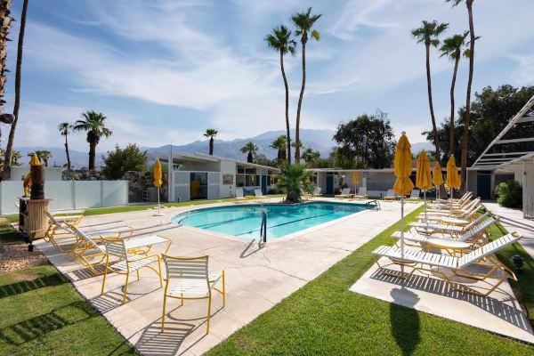 Monkey Tree Hotel 8 in Palm Springs预订价格,联系电话位置地址【携程酒店】