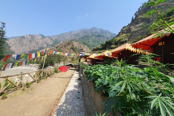 Kovid Camps Kasol Riverside预订价格,联系电话位置地址【携程酒店】