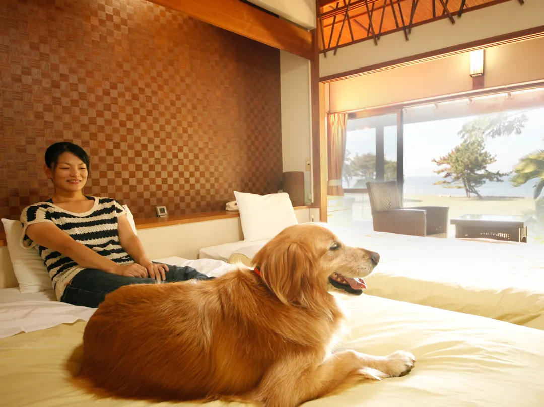 Japari Tateyama - Tateyama