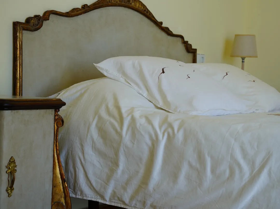 Encanto Rústico, Suite Olivo Con Baño Privado Y Vistas úNicas - Alcira