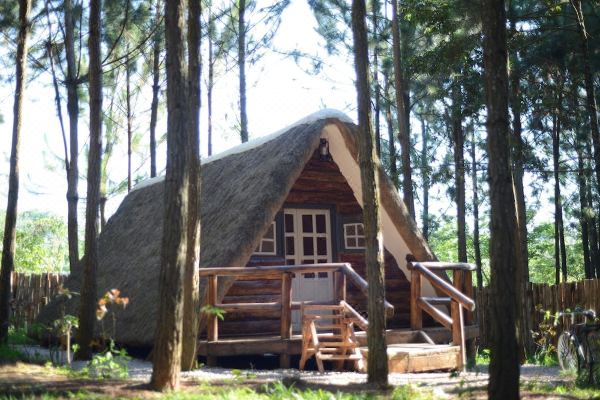 Nyungu Yamawe Forest Park预订价格,联系电话位置地址【携程酒店】