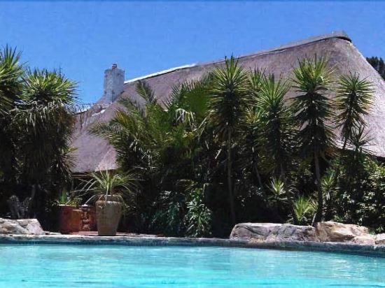 Pine Tree Lodge City of Johannesburg Metropolitan Municipality - 2022 ...