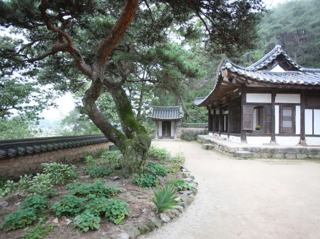 Okyeon Jeongsa - Andong