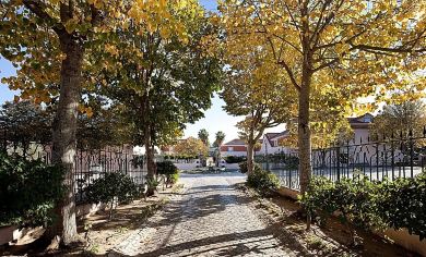 TURIM Club d'Azeitao Hotel in Alentejo Litoral | 2024 Updated prices ...