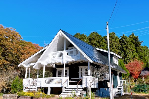 'OLI' OLI 树('Oli' Oli Tree)预订价格,联系电话位置地址【携程酒店】