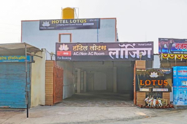 Lotus Guest House预订价格,联系电话位置地址【携程酒店】