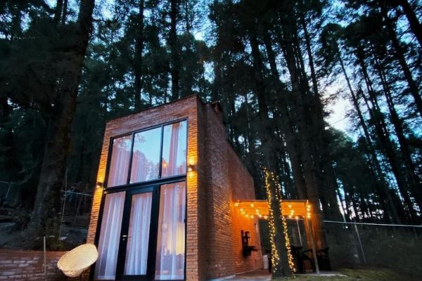 小清新旅馆(TinyChillHouse)预订价格,联系电话位置地址【携程酒店】