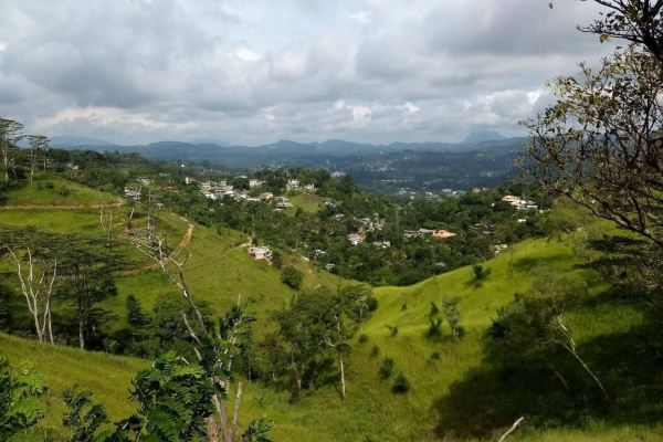 汉塔娜之家酒店(Hantana Home Stay)预订价格,联系电话位置地址【携程酒店】