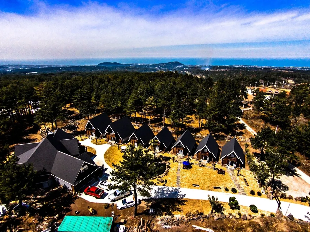 Browncabin Pension - Jeju-si