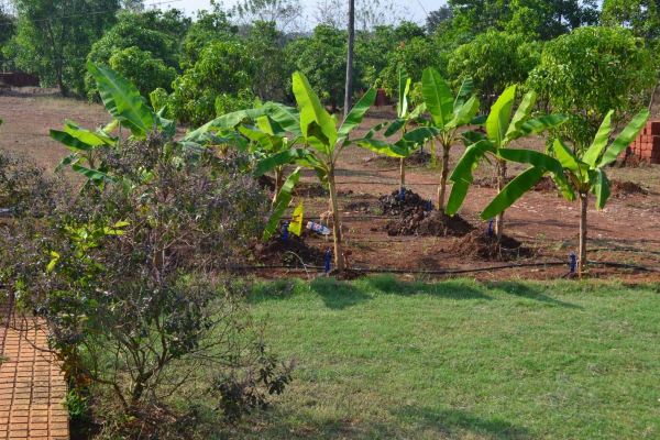 阿亚农场旅馆(Aarya Farm)预订价格,联系电话位置地址【携程酒店】