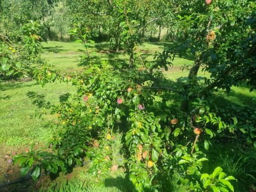 萨凡娜住宿预订价格,联系电话位置地址【携程酒店】