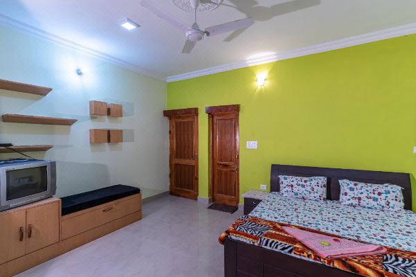 Lazy Mojo Inn预订价格,联系电话位置地址【携程酒店】