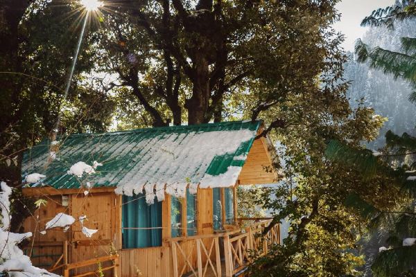 Whispering Pines Cottages| Treehut| Tandi.预订价格,联系电话位置地址【携程酒店】