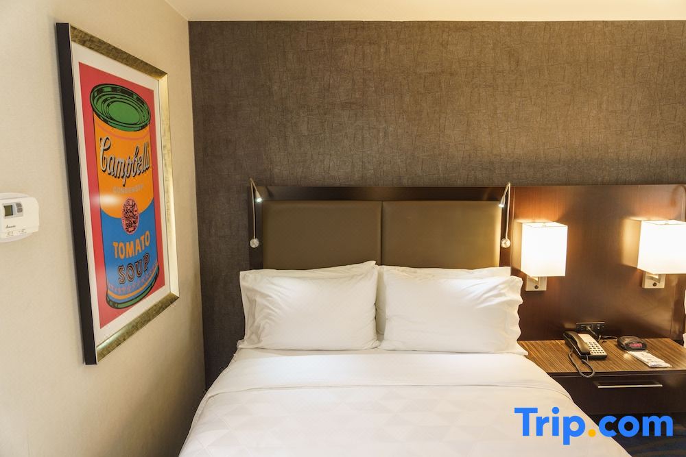 Holiday Inn New Orleans-Downtown Superdome, an IHG Hotel Book ...