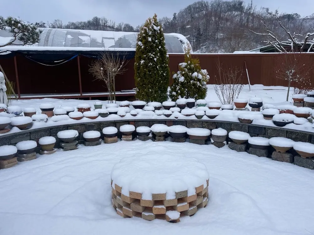 Sarah's Small Garden - 논산시