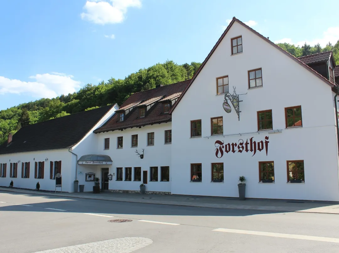 Hotel & Landgasthof Forsthof - Neumarkt