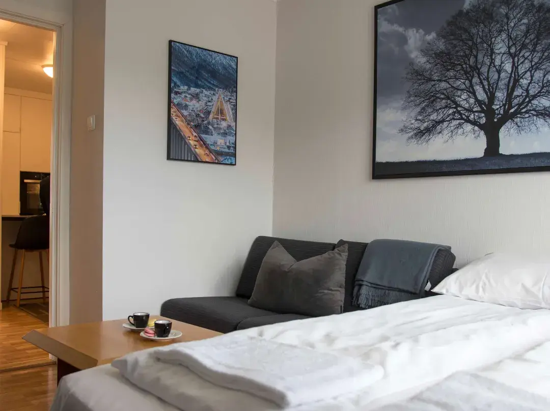 Modern Comfort With Panoramic View - 트롬쇠