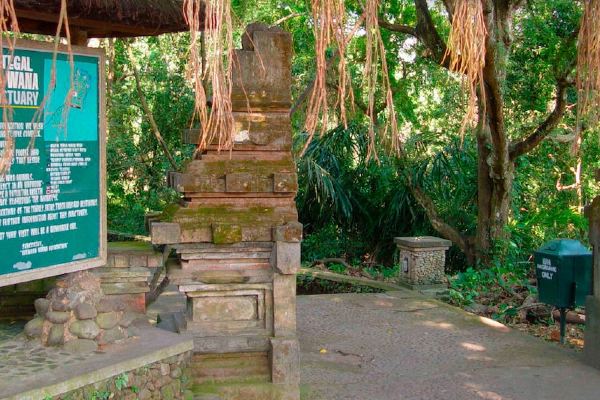 绿流别墅8(Green Flow Villa 8 Ubud)预订价格,联系电话位置地址【携程酒店】