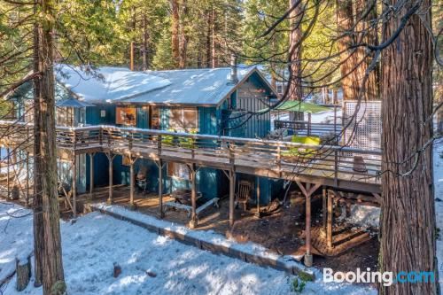 Starlight Cabin预订价格,联系电话位置地址【携程酒店】