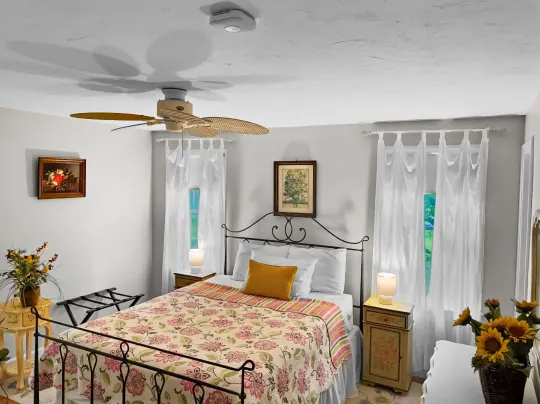 Central Ac, Wifi, Fire Pit And Birdwatching Delight - Charming Oasis - Chatham, MA