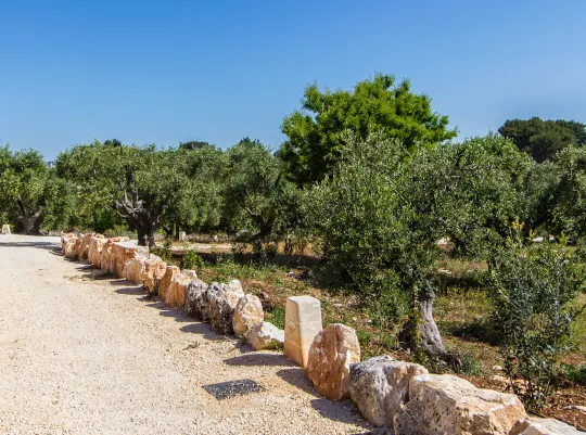 Romantica Dimora Con Vista Panoramica In Valle D'itria - Martina Franca