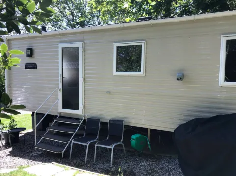 Badgers Nestled In A Cozy Corner Of The Park - Cornwall