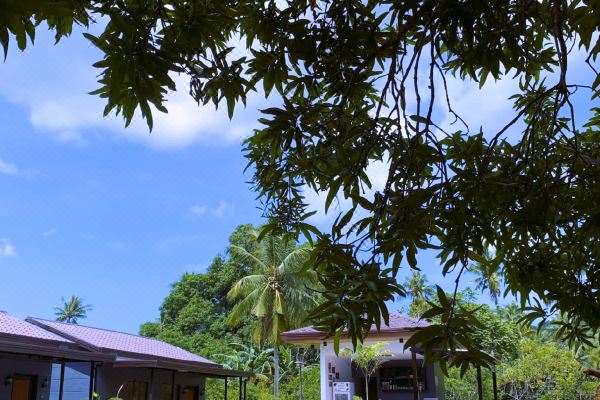 Balai Angelica - Nature Farm & Resort预订价格,联系电话位置地址【携程酒店】