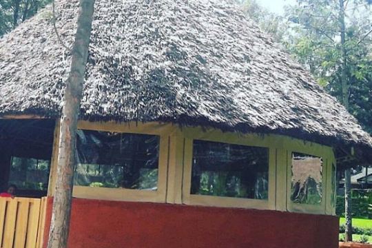 Angiri Camp - Campsite预订价格,联系电话位置地址【携程酒店】