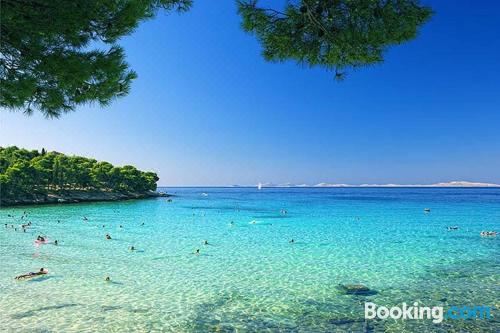 Dvorine预订价格,联系电话位置地址【携程酒店】