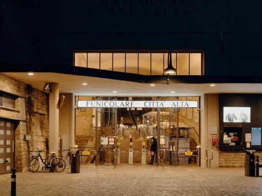 Golden Teal & Silver Birch - Bergame