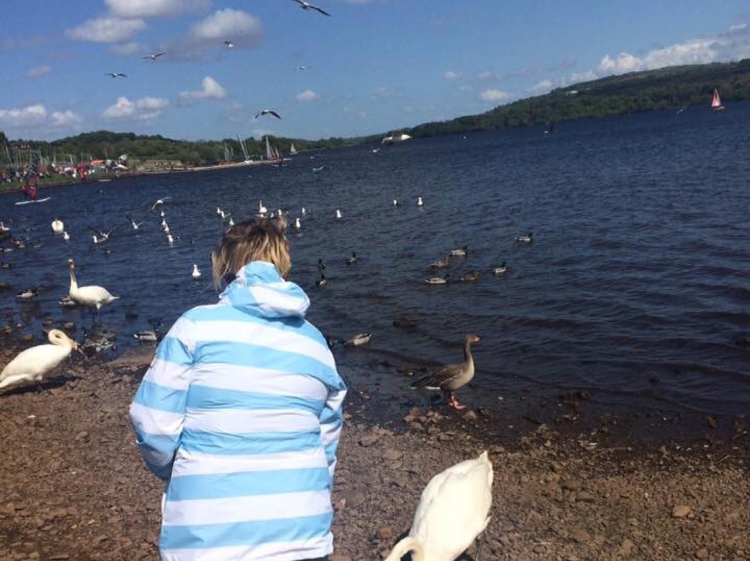 2023年12月Castle Semple Country Park景点攻略-Castle Semple Country Park门票预订 ...