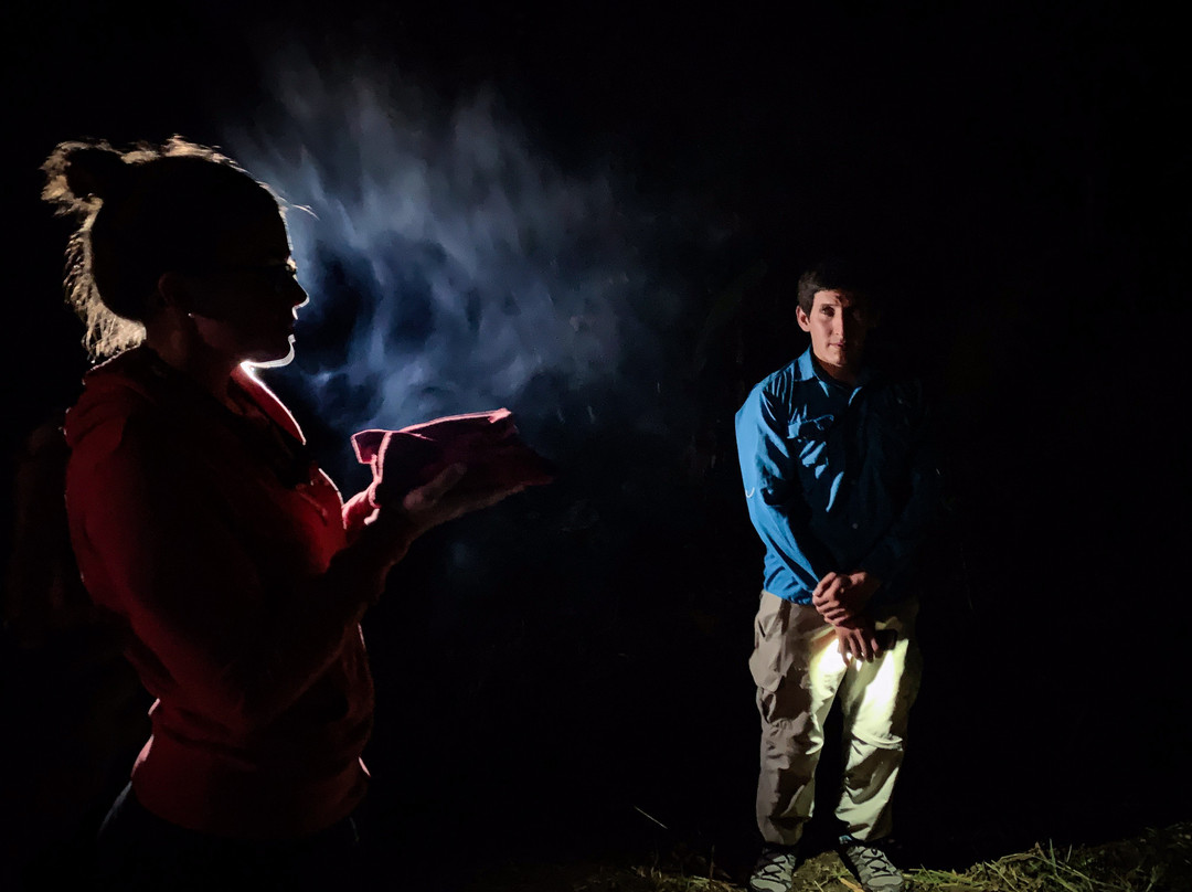 2024年3月Manire旅游景点攻略-Manire旅游住宿,-Manire旅游美食-猫途鹰