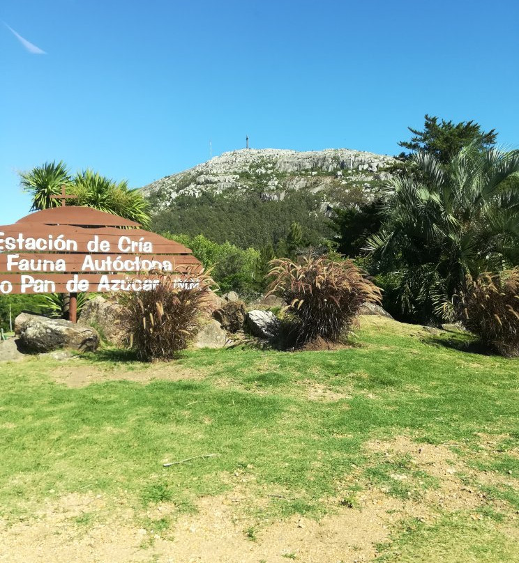 2024年1月Pan De Azucar景点攻略-Pan De Azucar门票预订|地址|图片-Pan De Azucar景点点评-猫途鹰